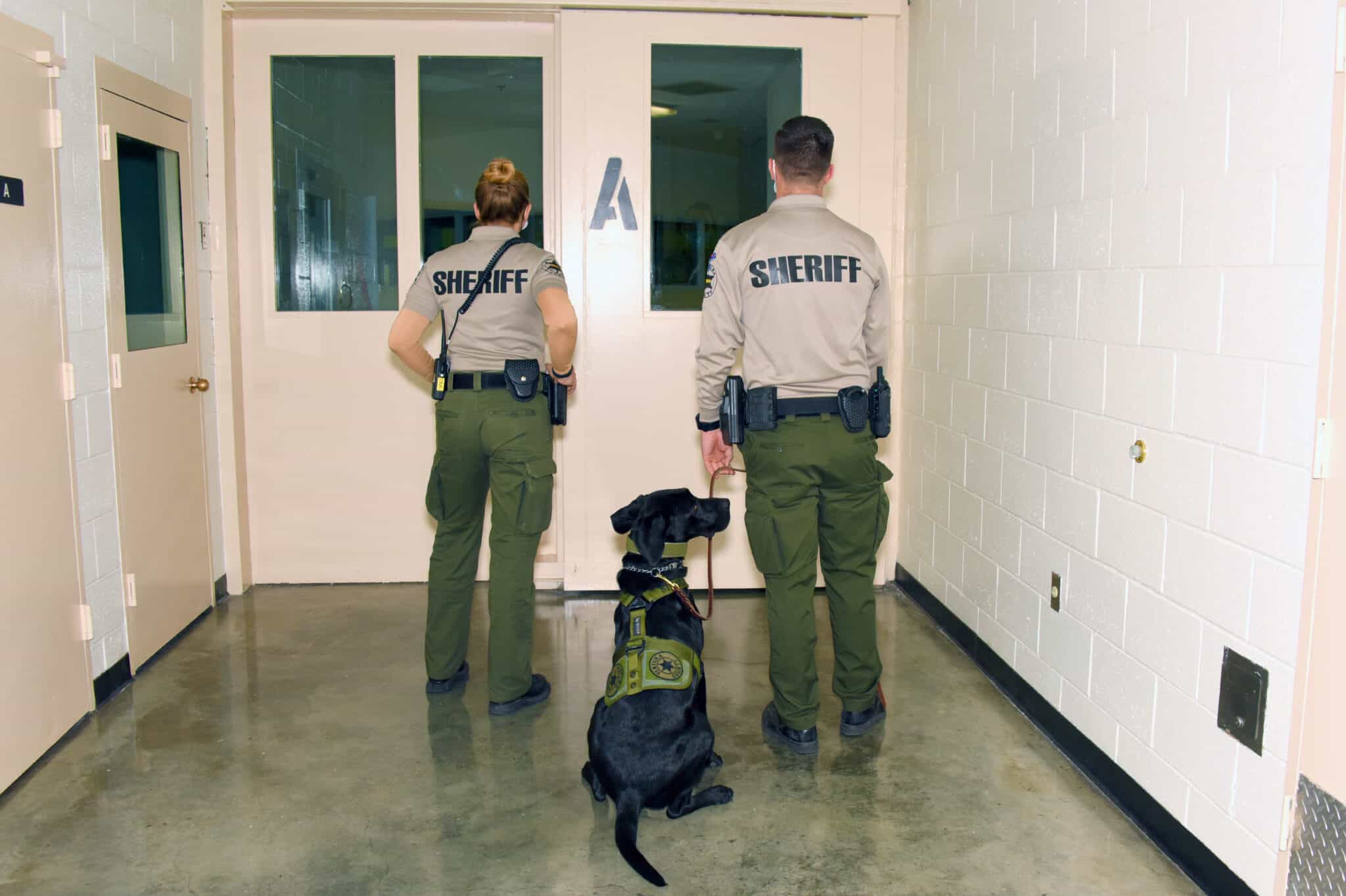 Service Requests – Ventura Sheriff Official Website